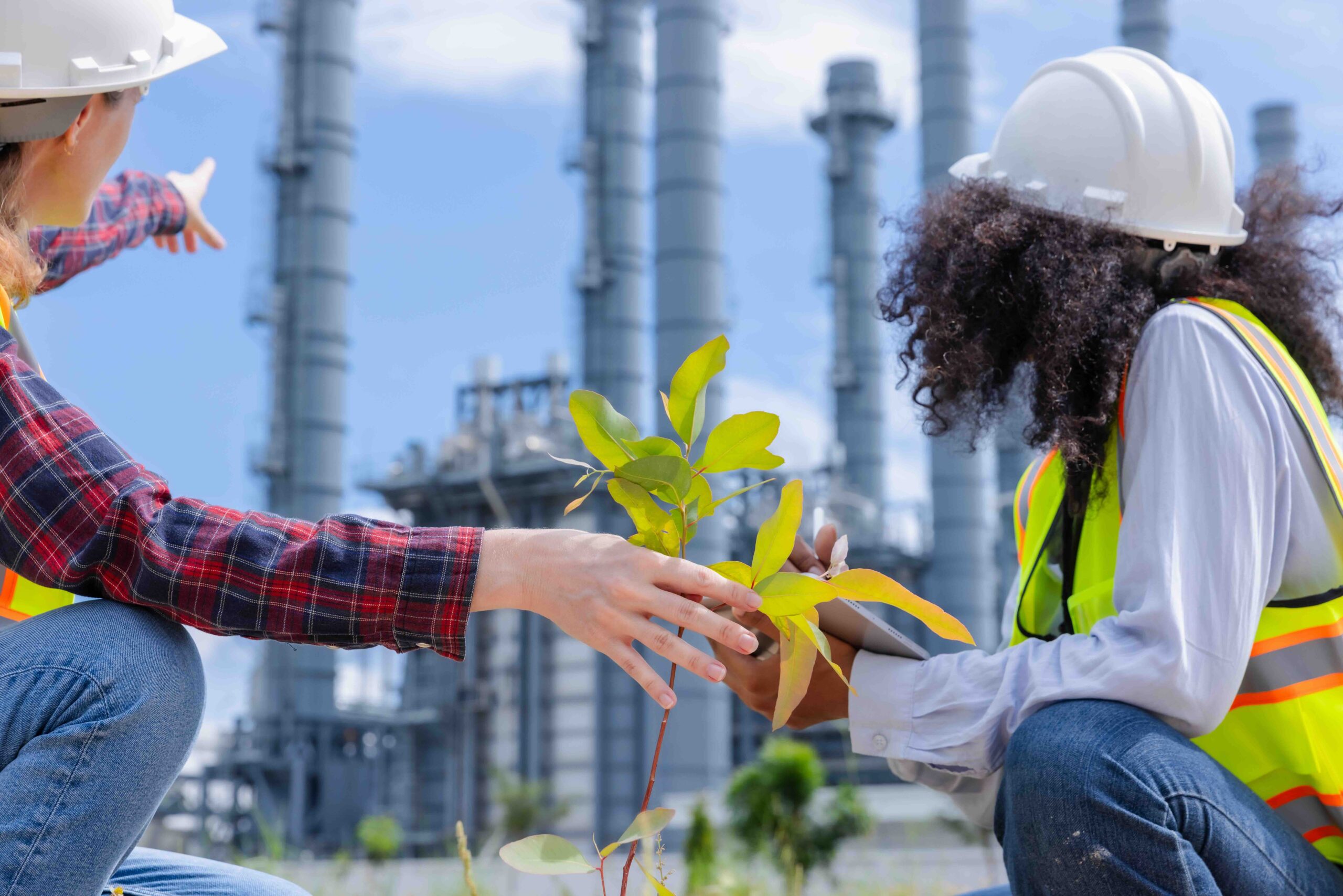 Female Engineers Implement Sustainable Solutions by Planting Trees to ...